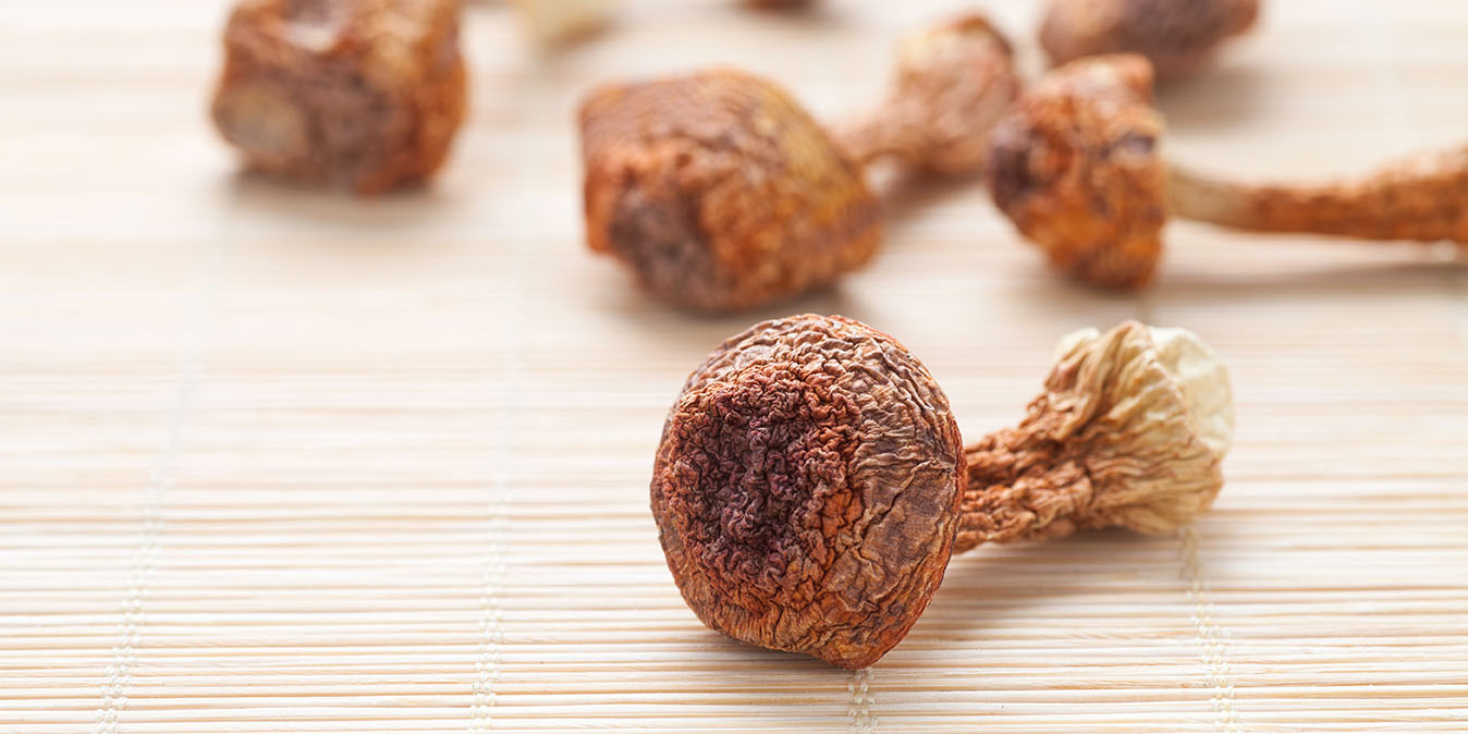 Zylaria™ developed by NuLiv Science